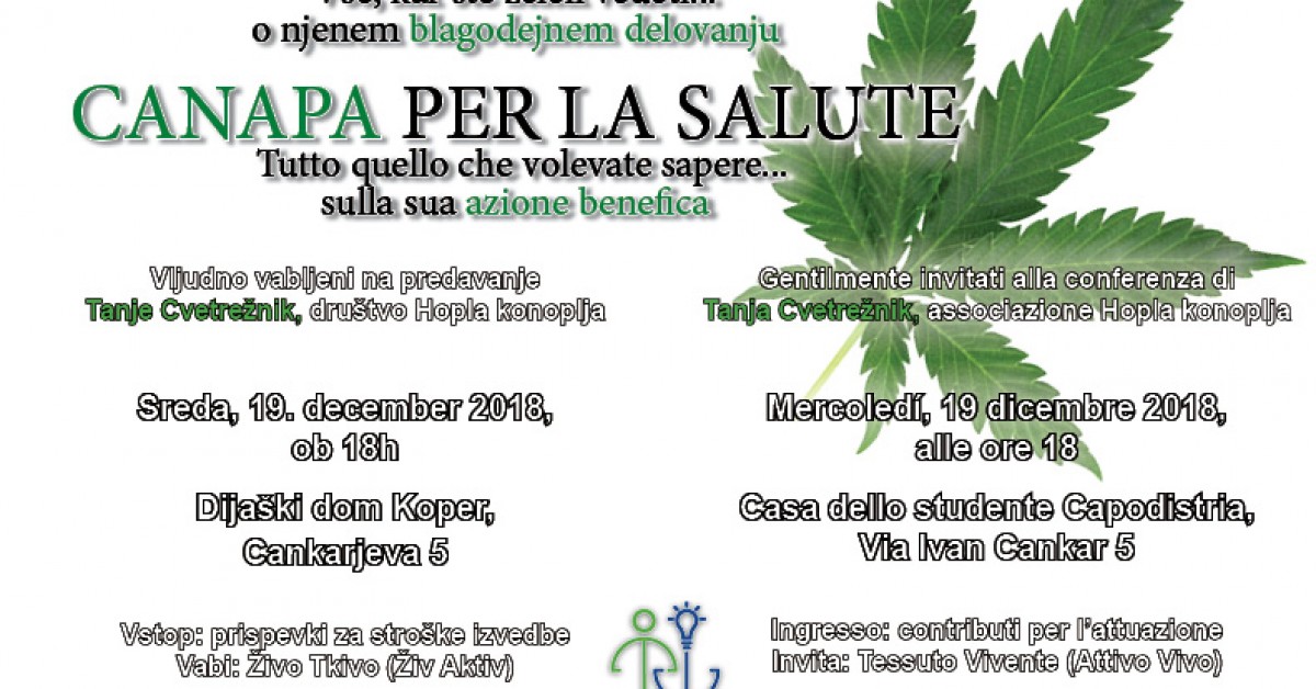 Vse, kar ste želeli vedeti o ... konoplji za zdravje | Svetloba.si Vse, kar ste želeli vedeti o ... konoplji za zdravje | Svetloba.si