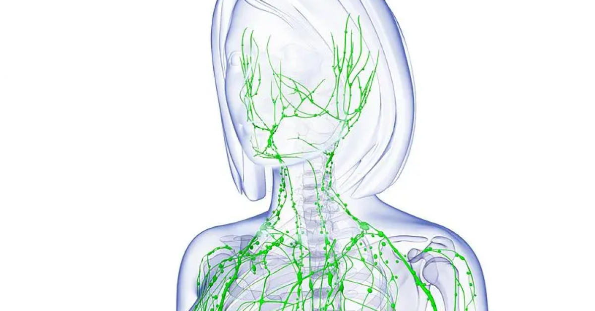 Limfno-žlezna neskladja in nedoslednosti – delavnica | Svetloba.si