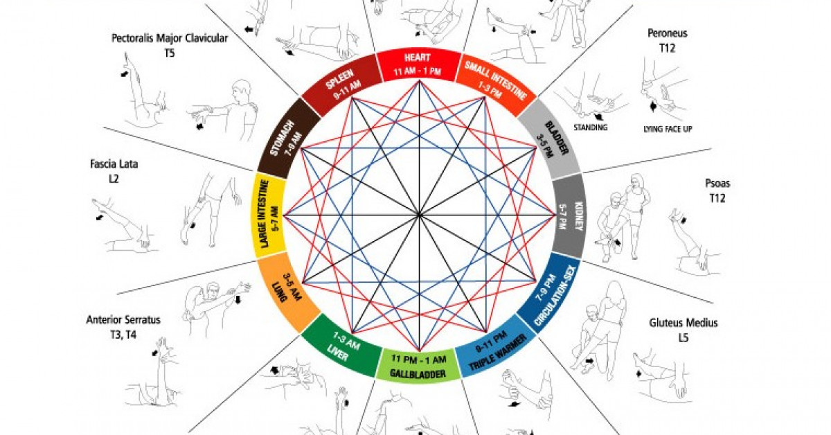 Predstavitev tečaja TOUCH FOR HEALTH kineziologije preko zooma ...